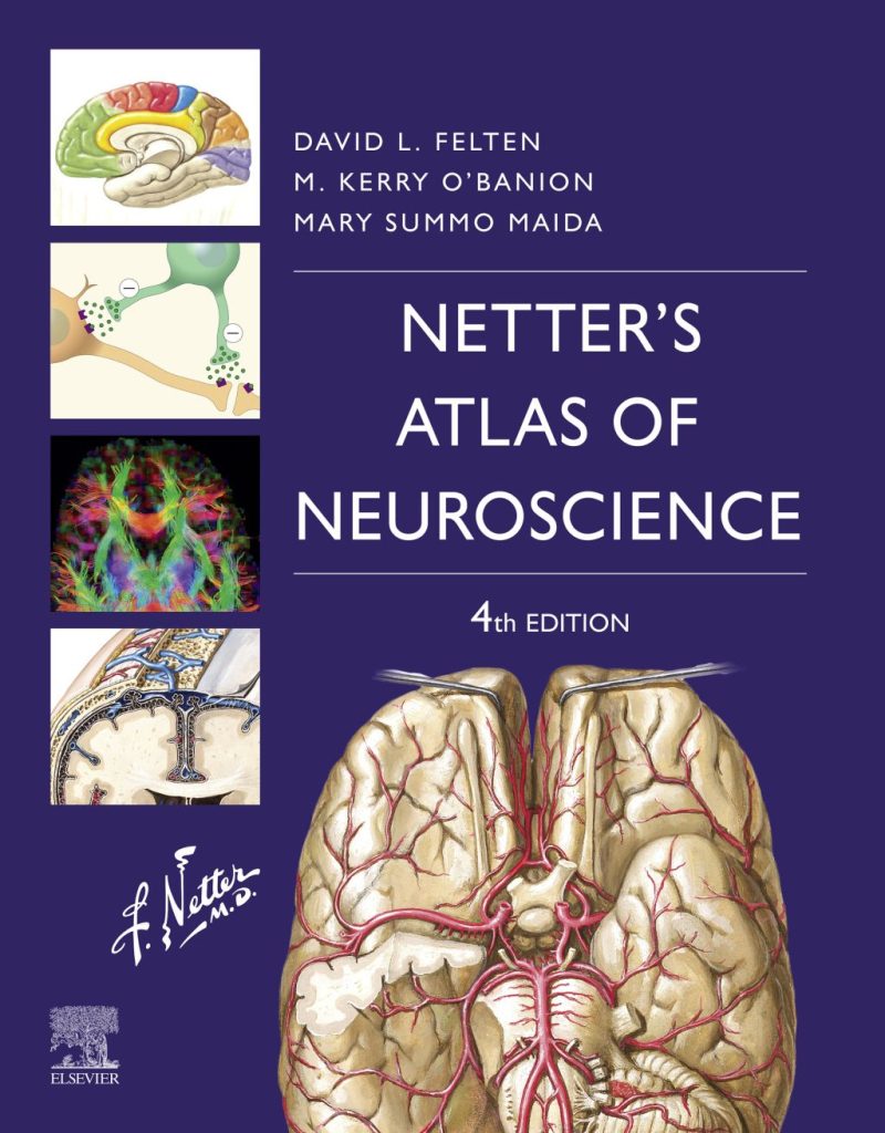 Netter's Atlas of Neuroscience, 4th Edition | Εκδόσεις Κωνσταντάρας