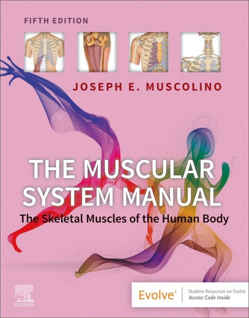 The Muscular System Manual, 5th Edition. The Skeletal Muscles of the ...