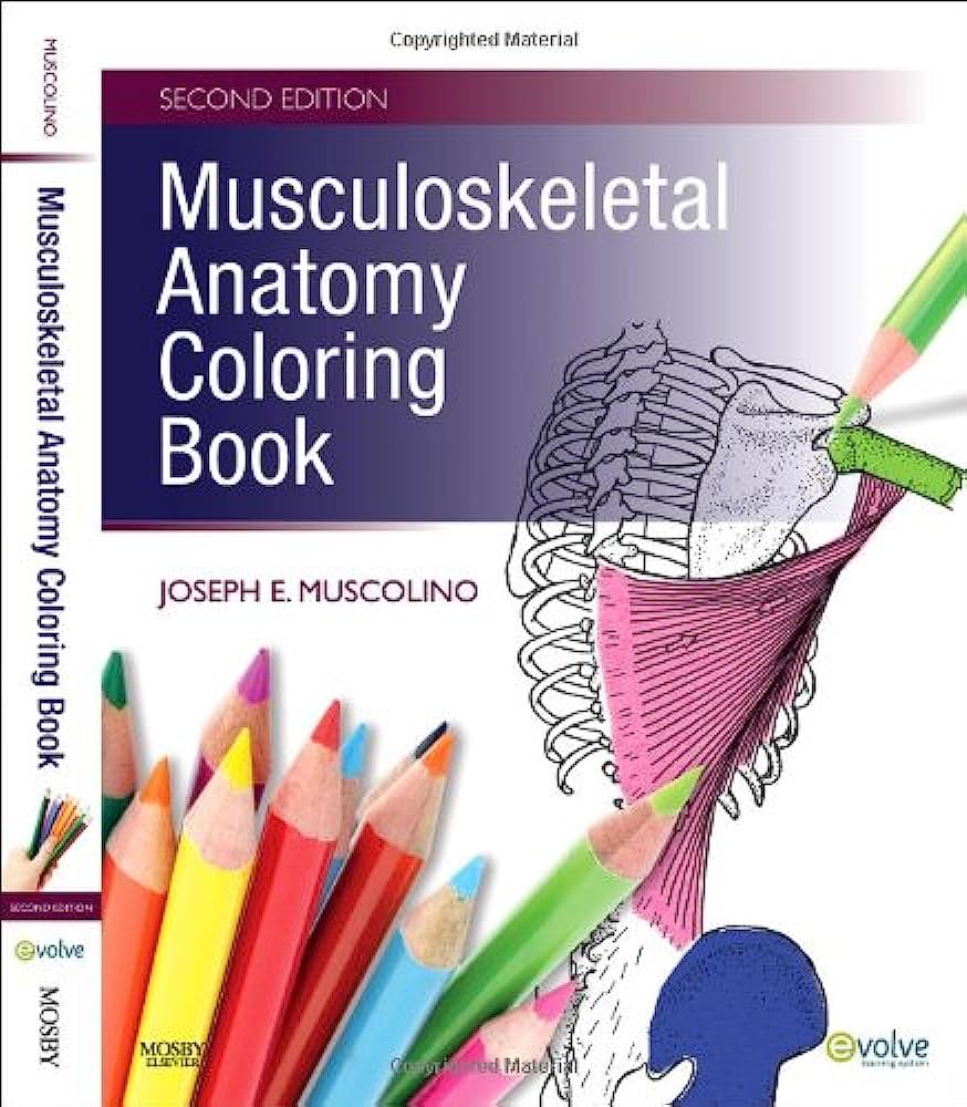 Musculoskeletal Anatomy Coloring Book, 4th Edition | Εκδόσεις Κωνσταντάρας