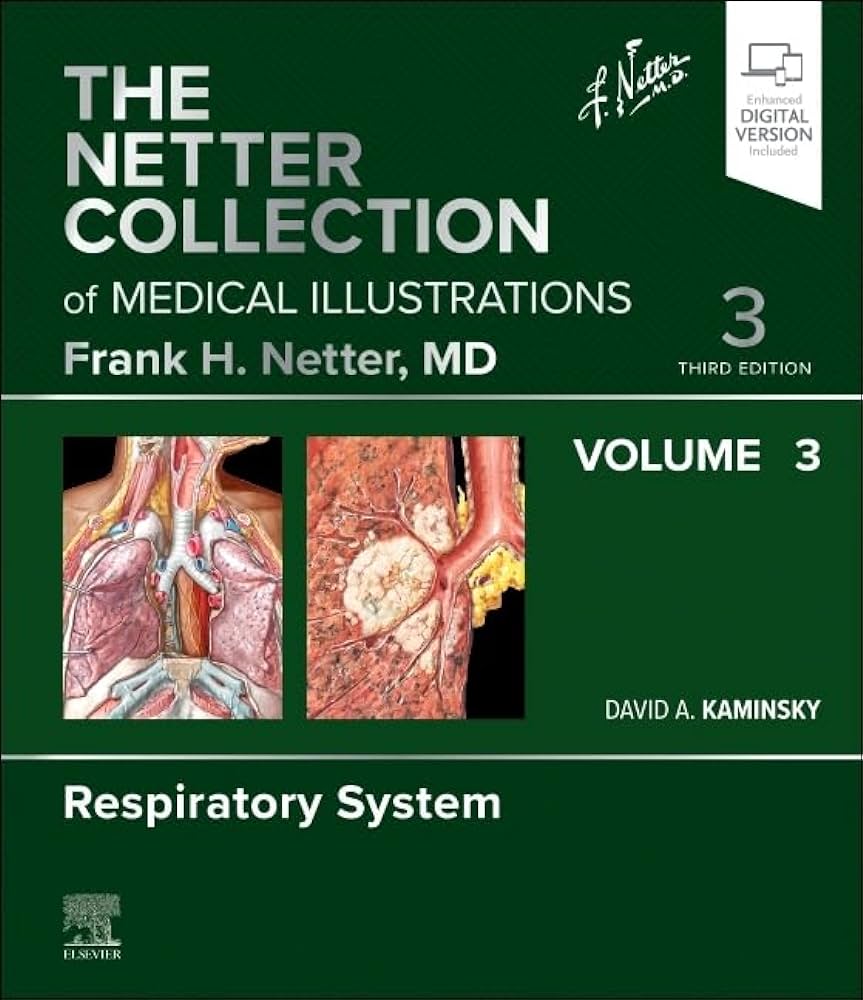 The Netter Collection of Medical Illustrations: Respiratory System ...